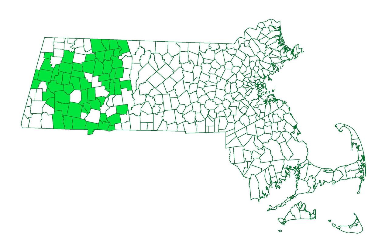 Western Mass Electric Co. Teams Up With Mass Energy to Offer Renewable ...