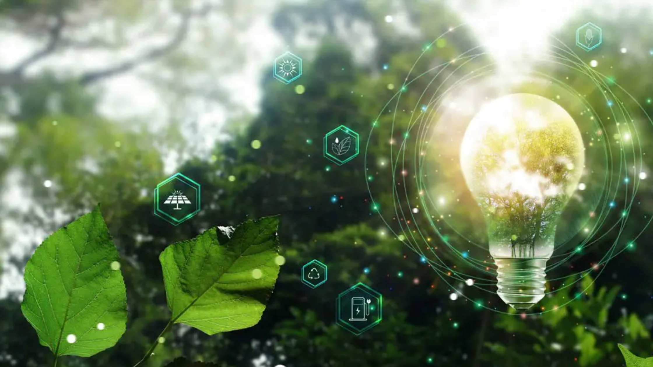 Truth To Power: Speaking Out Against Dangerous Energy Misinformation